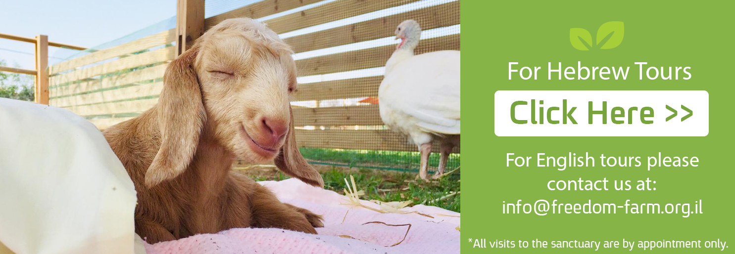 Freedom Farm Sanctuary